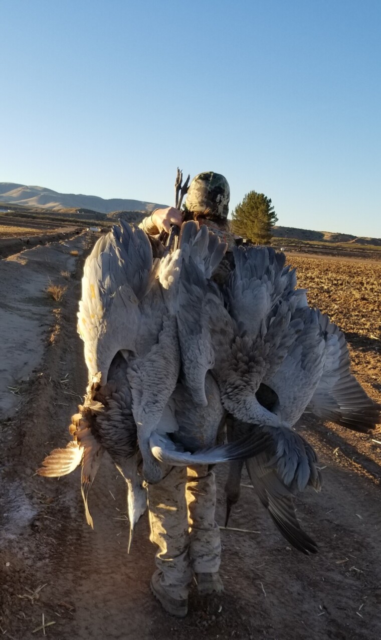 New Mexico Sandhill Crane Hunting Guide - The Santa Fe Guiding Co